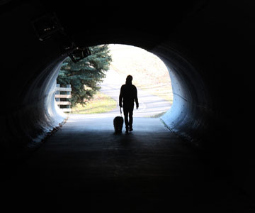 In-Home Euthanasia - Vet in Pottstown | Golden Years Veterinary Services